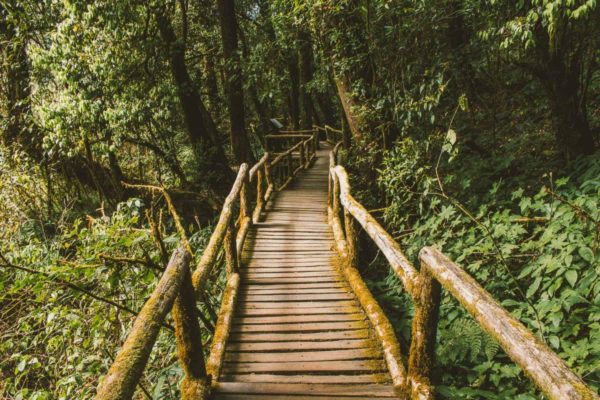 Chiang Mai: A Complete Backpacker's Guide to this Northern Thai City